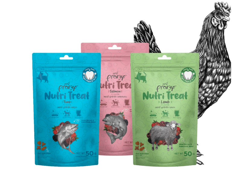 Pramy Cat - Pramy Cat