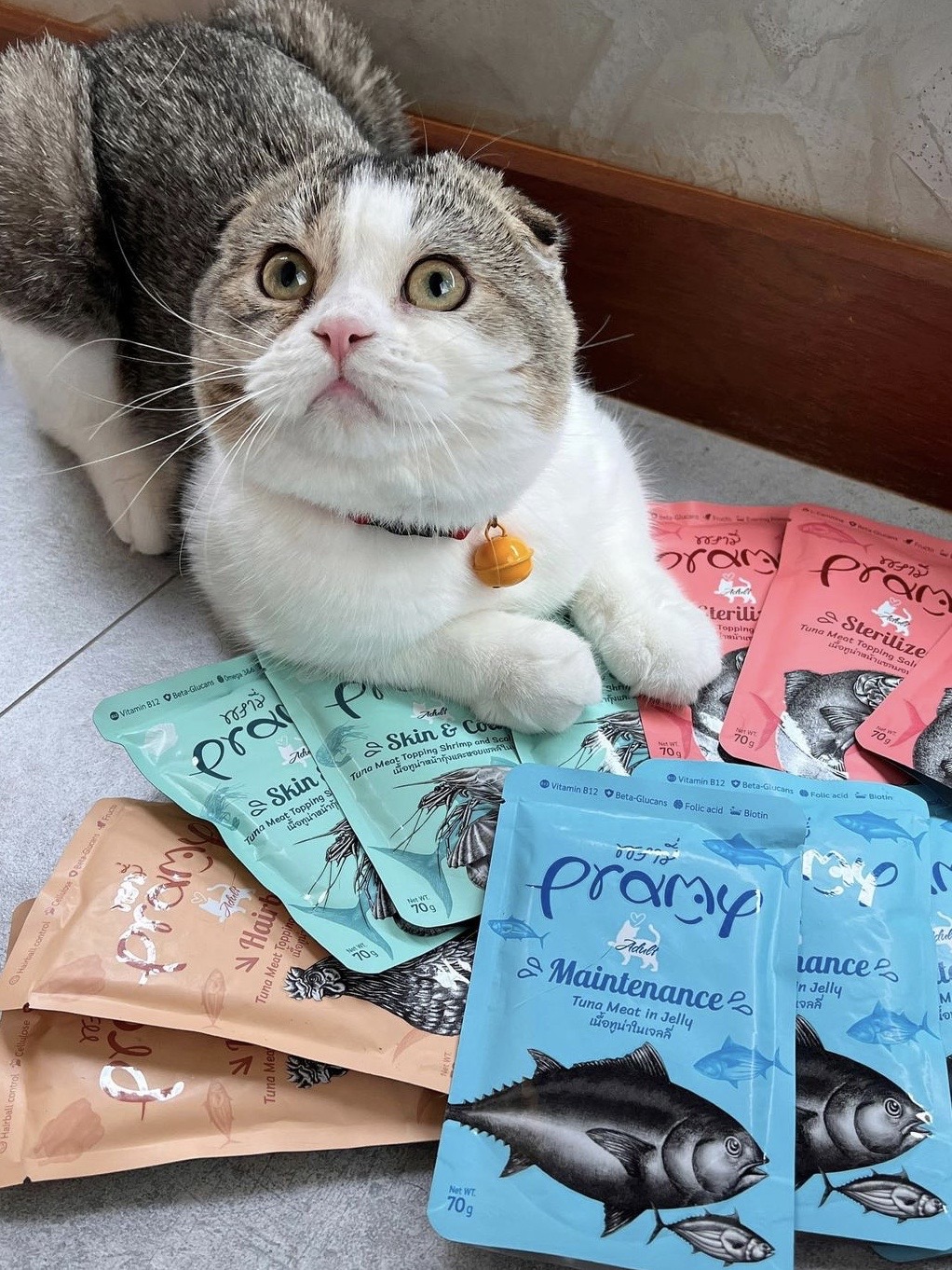 Our story - Pramy Cat