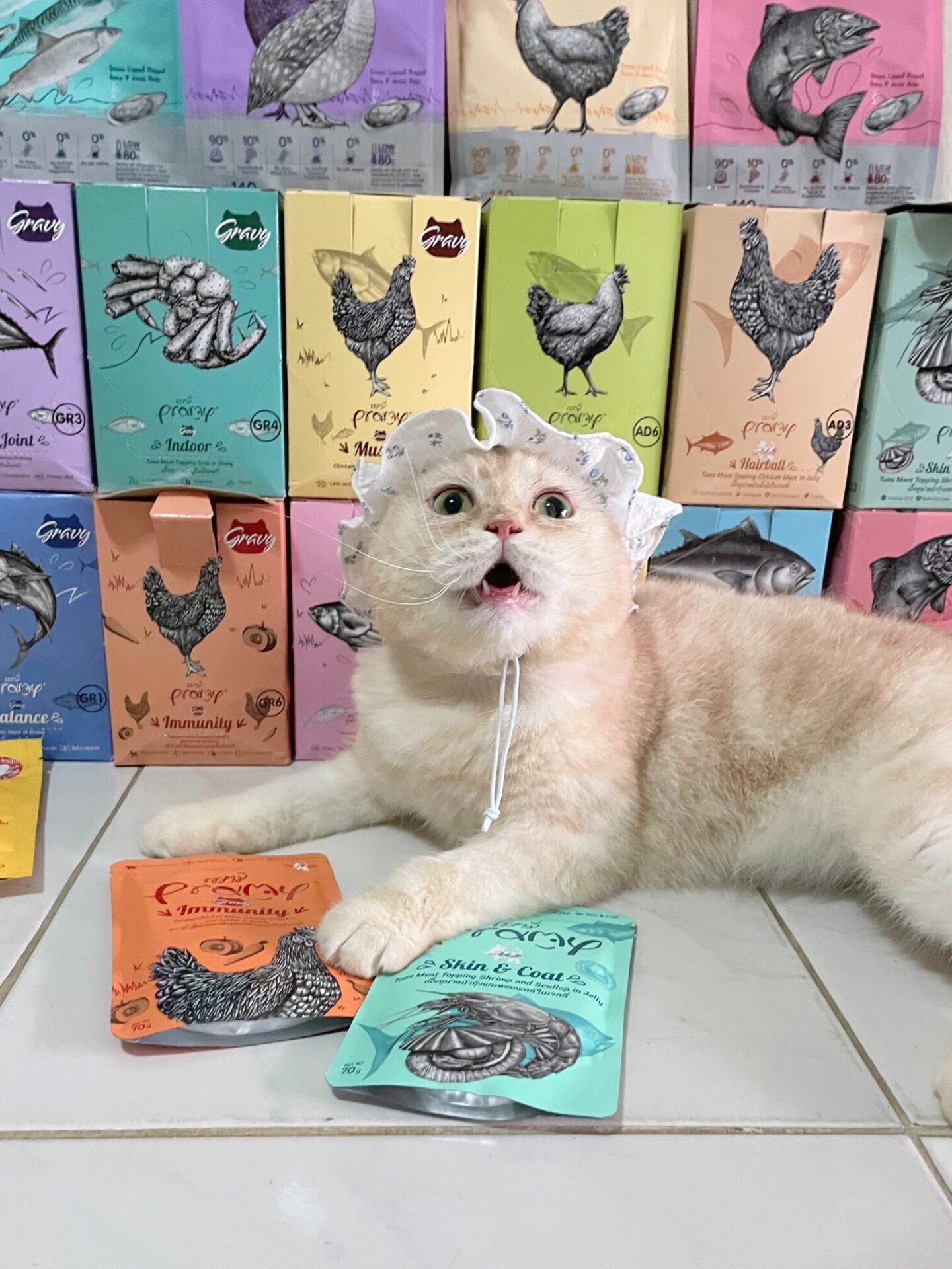 Our story - Pramy Cat
