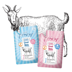 Pramy Cat - Pramy Cat