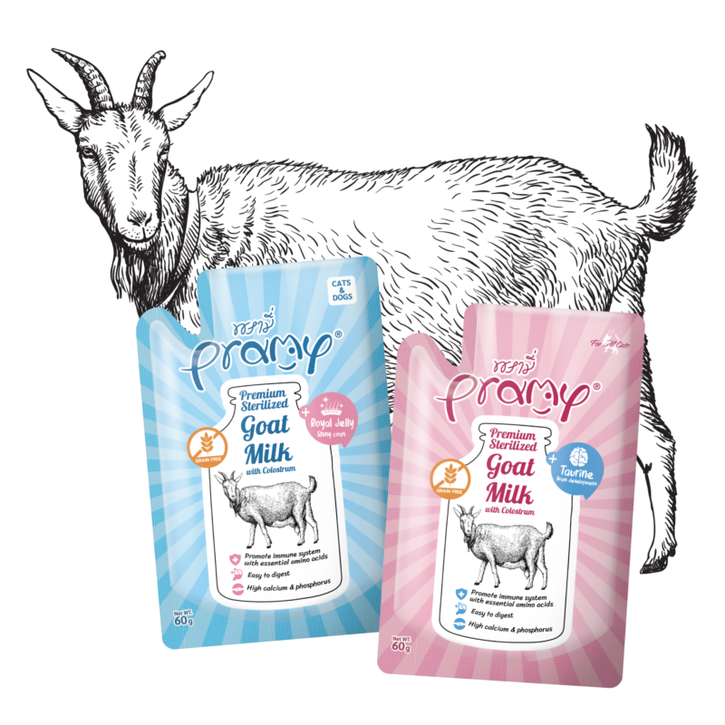 Pramy Cat - Pramy Cat