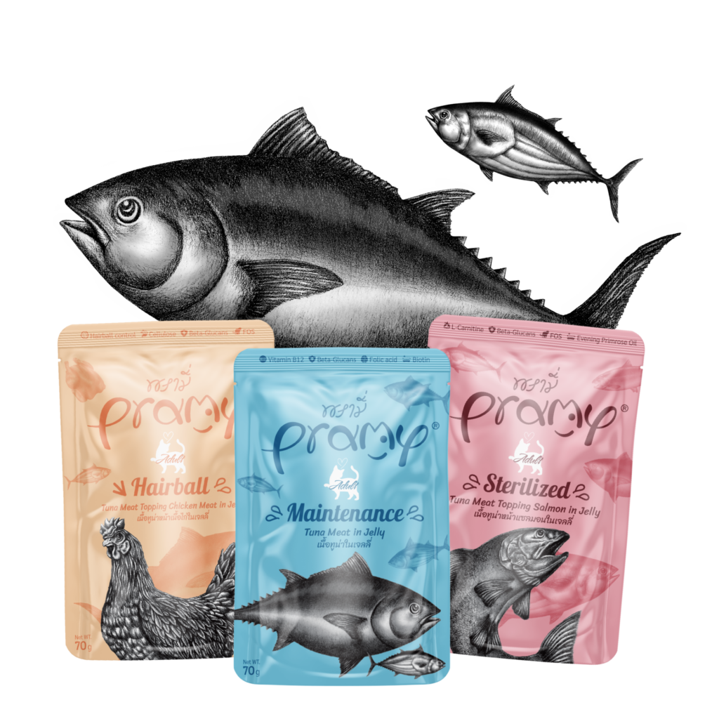 Pramy Cat - Pramy Cat