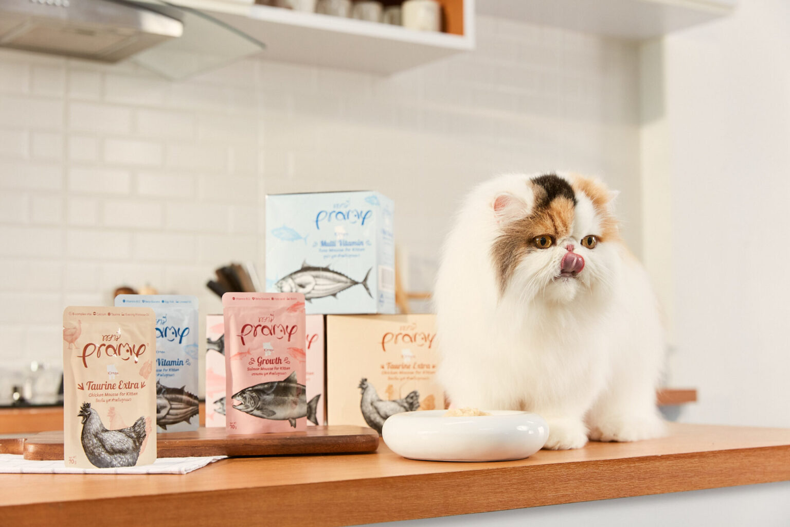 Pramy Cat - Pramy Cat