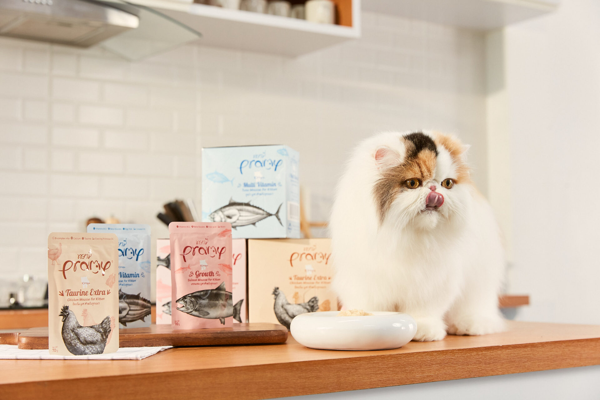 Pramy Cat - Pramy Cat